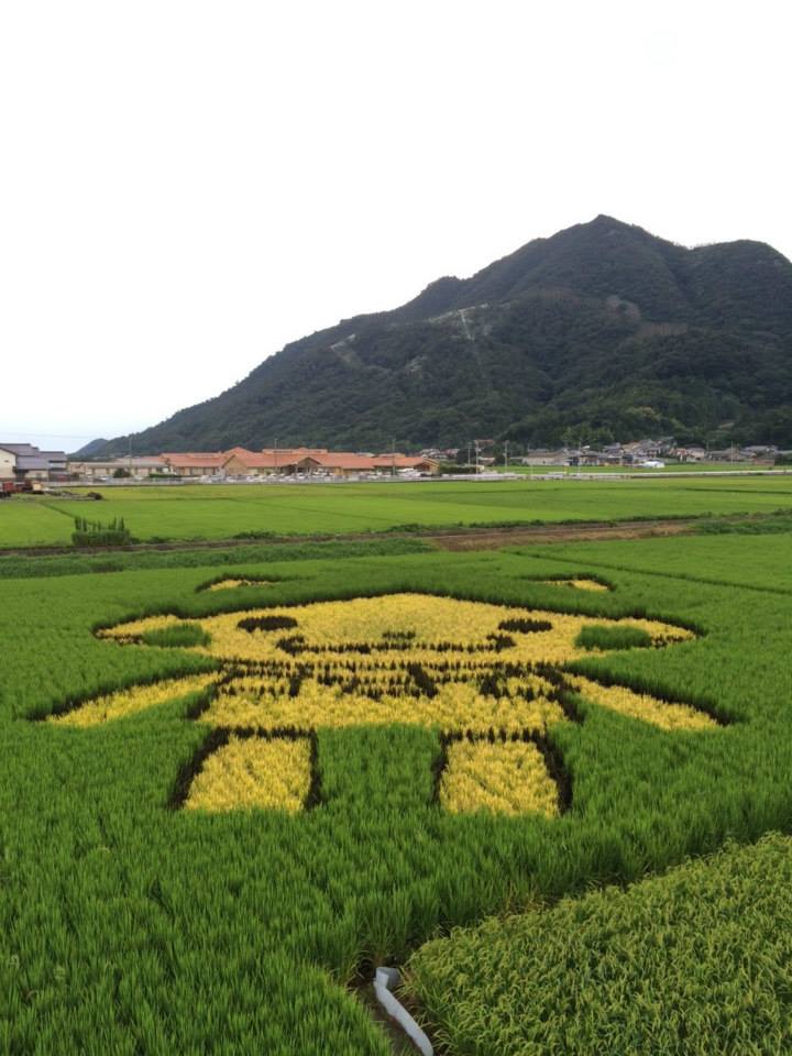 Shimane Prefecture’s shrine-headed mascot is now an adorable rice field ...