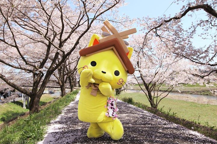 Shimane Prefecture’s shrine-headed mascot is now an adorable rice field ...
