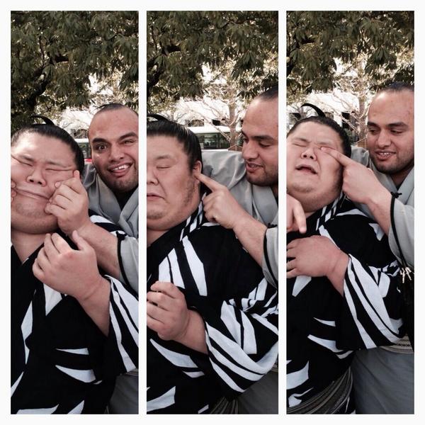 Meet Chiyomaru: the cutest gosh-darn sumo wrestler you’ll ever see ...