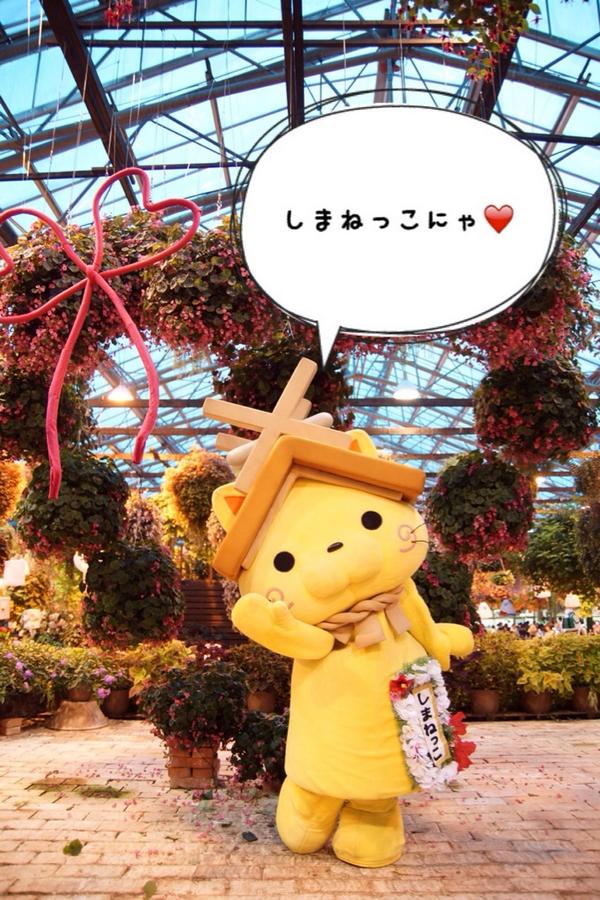 Shimane Prefecture’s shrine-headed mascot is now an adorable rice field ...