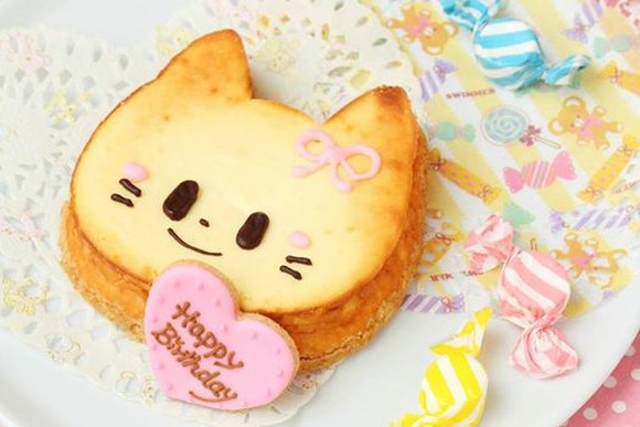 Cute cat cakes captivate our culinary cravings | SoraNews24 -Japan News-