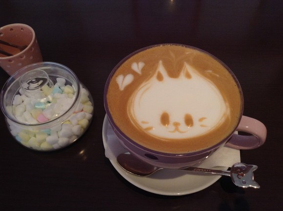 Cute cat cakes captivate our culinary cravings | SoraNews24 -Japan News-