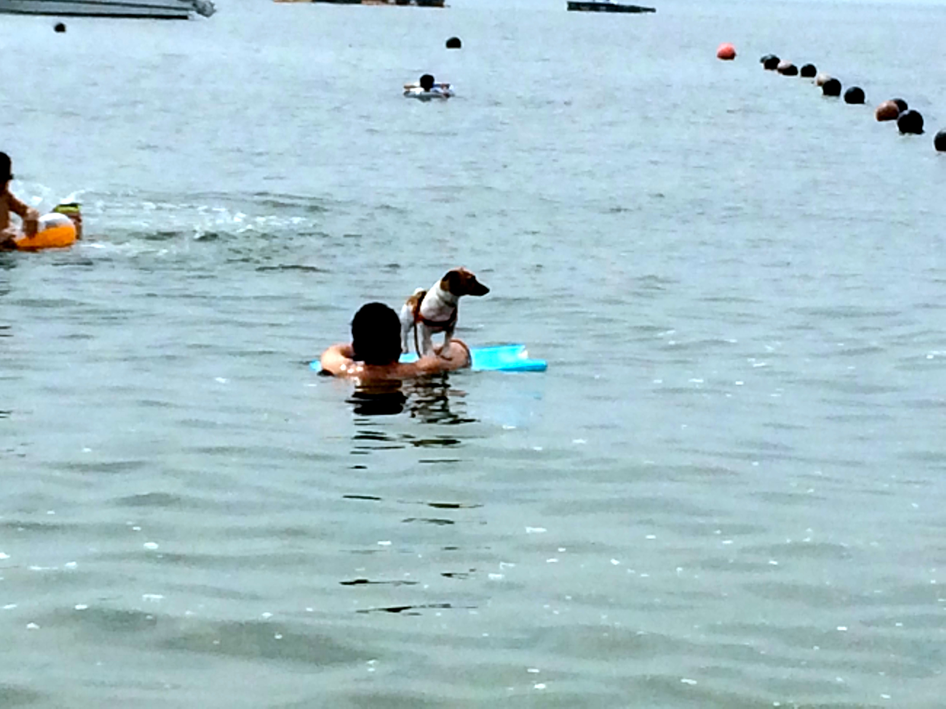 Wacky Japanese beach culture: A ton of fun in the sun! | SoraNews24 ...
