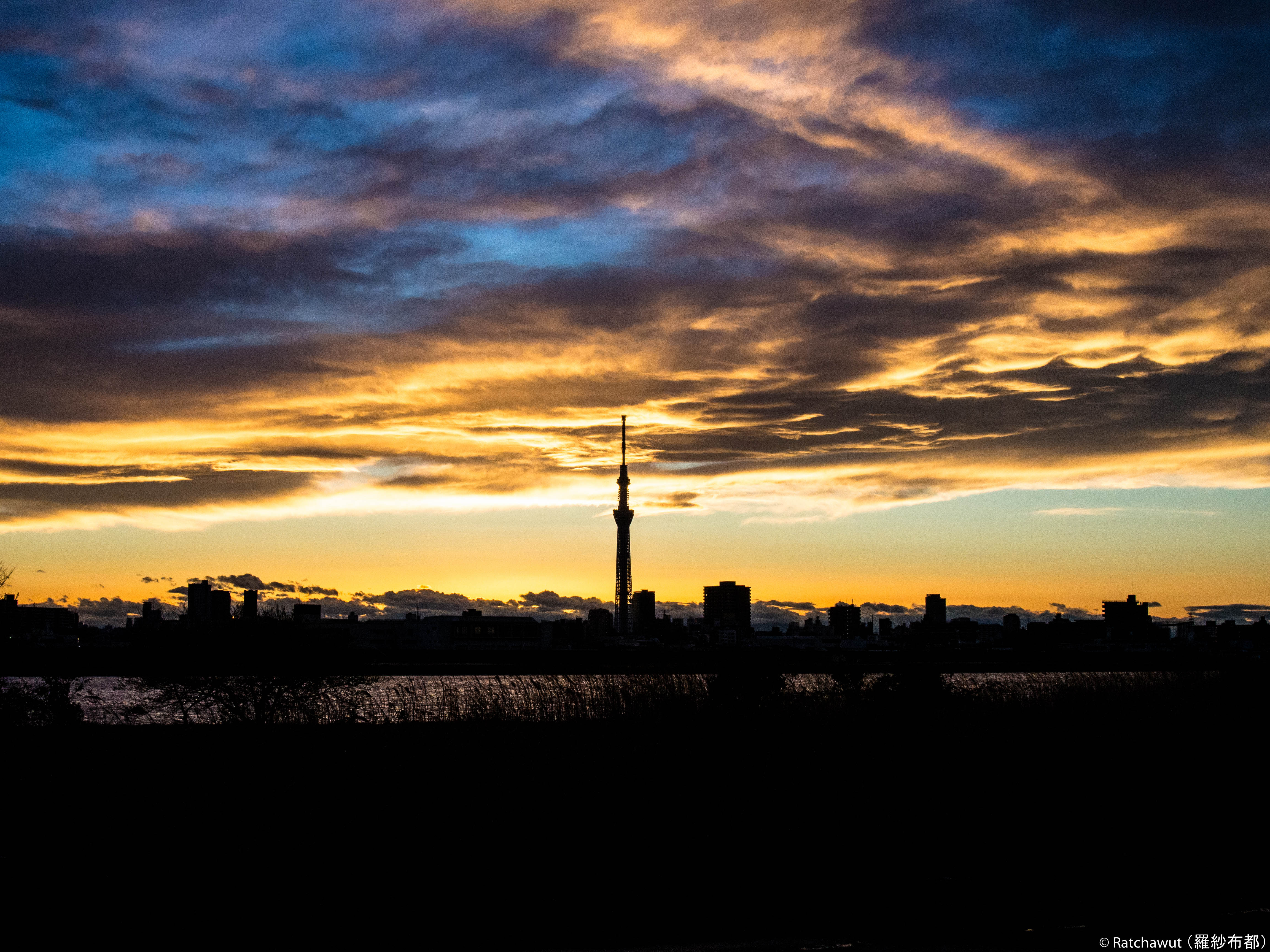 Pic of the Week, Round 1: WINNER! | SoraNews24 -Japan News-