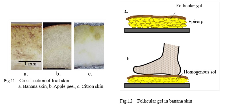 Japanese team wins Ig Nobel prize for confirming that banana peels are ...