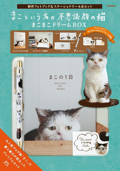 Japan’s other famous cat gets her own photobook and stationery ...