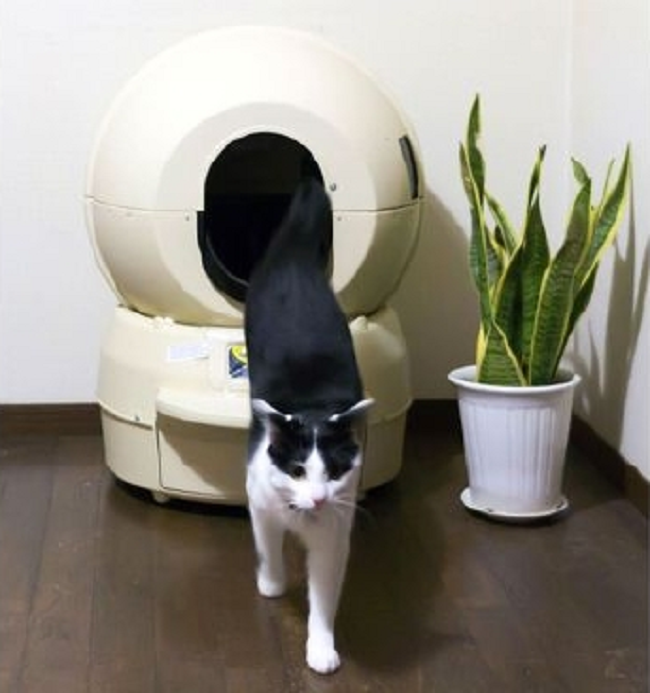 Cat Robo: The automated cat toilet that frees you from ever having to ...