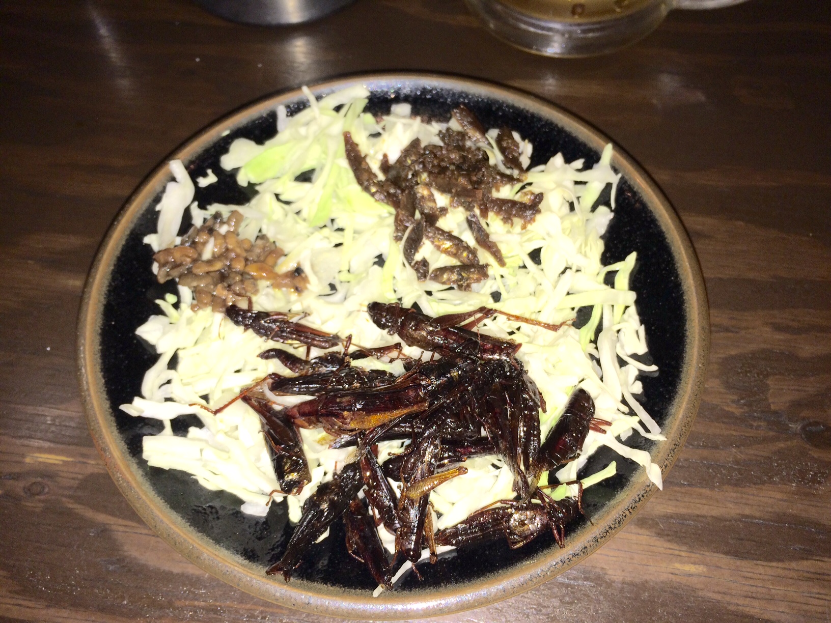 We try eating insects — they don’t taste like chicken | SoraNews24 ...
