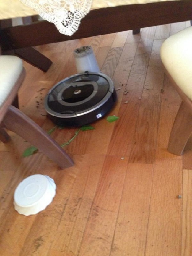 Robot rebellion begins with a cranky Roomba, Internet users too busy ...