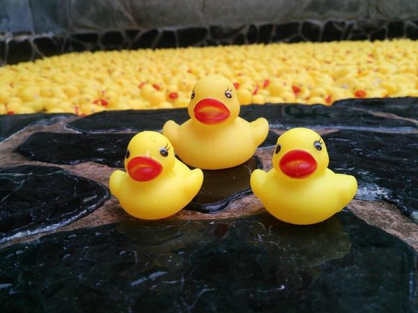 Public baths in Japan add some extra fun with hundreds of rubber ...