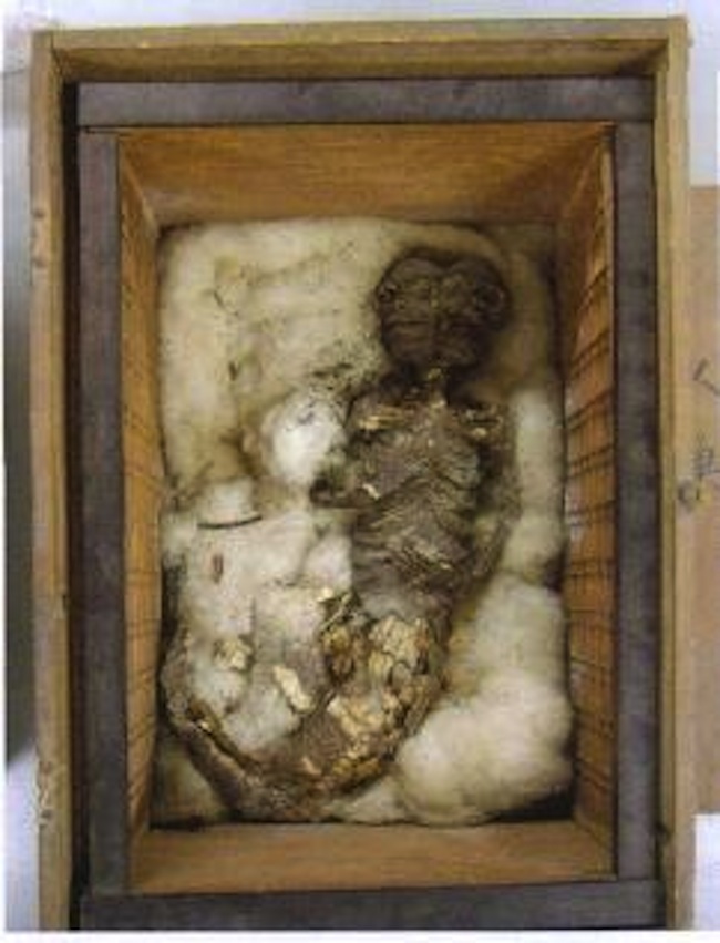 From mermaids to monsters: The taxidermy mummies on show in Japan ...
