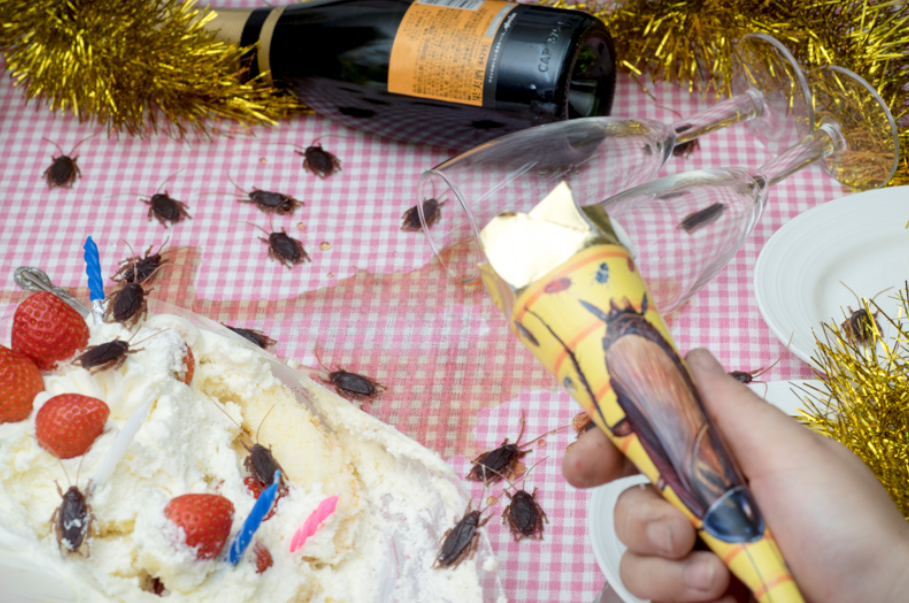 Festive cockroach crackers are on their way to help get the party ...