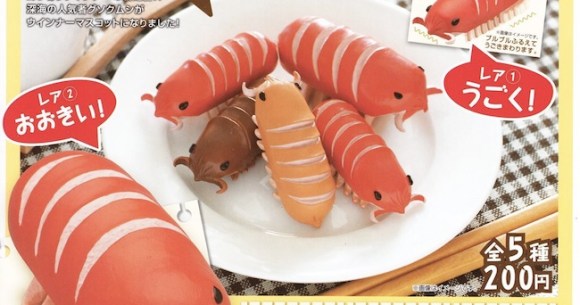 Japan’s love affair with sea bugs continues — sausage isopods now ...
