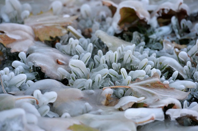 Water pipe bursts at Beijing art building, turns everything into a ...