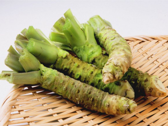 5 amazing health and beauty benefits of eating wasabi | SoraNews24 ...