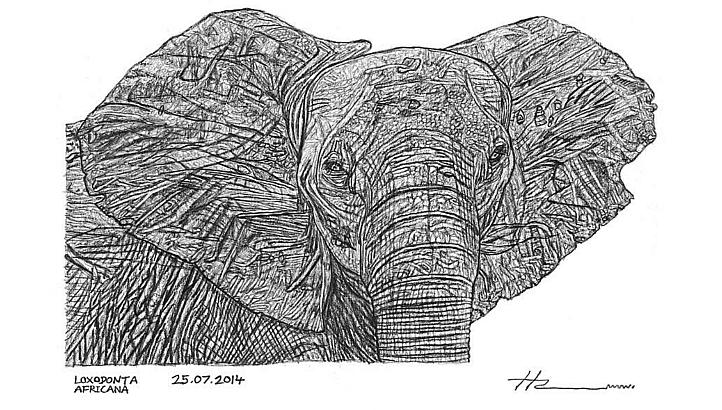 Autistic teen artist creates masterful sketches with help of ...