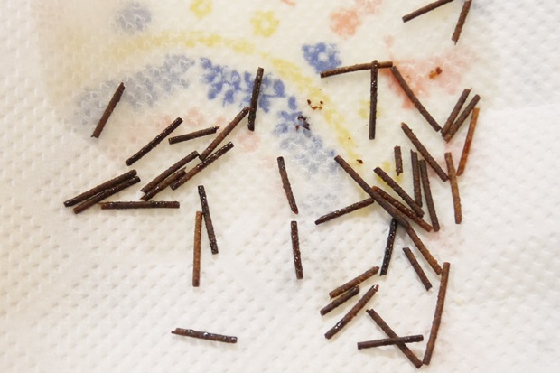 Japanese food blogger makes fried chicken poodles: “They’re too cute to ...