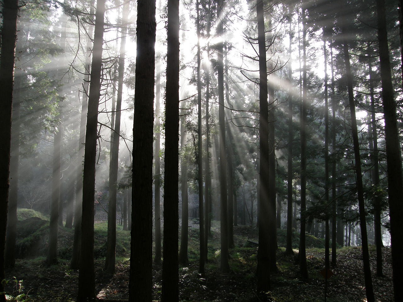 Kumiko: The exquisitely delicate side of traditional Japanese woodwork ...