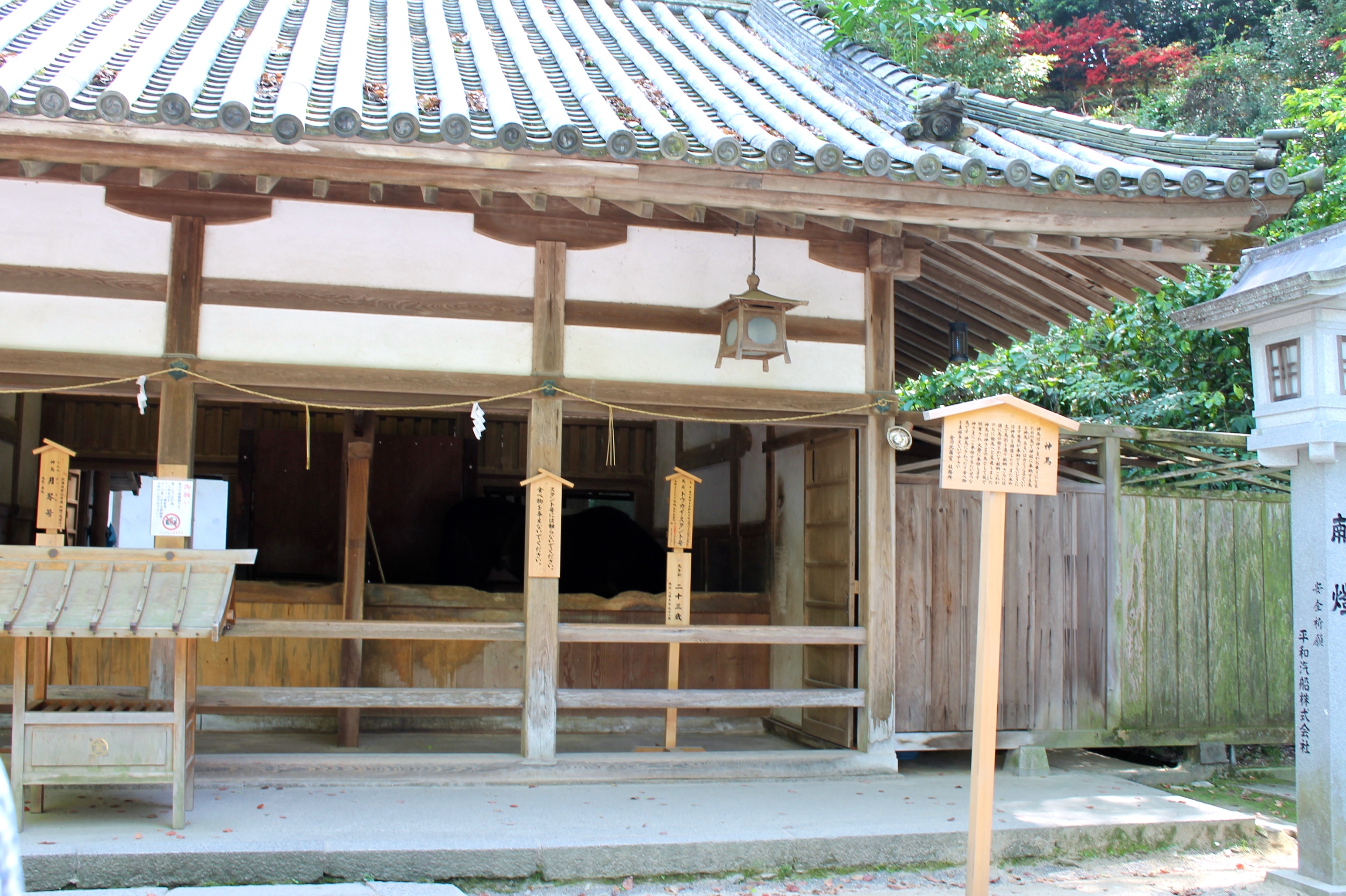 The Steeds of the Gods: The Shinto horses that no mortal may ride ...
