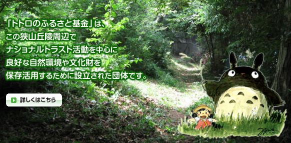 Spring walking event provides guided tour around Totoro forest loved by ...