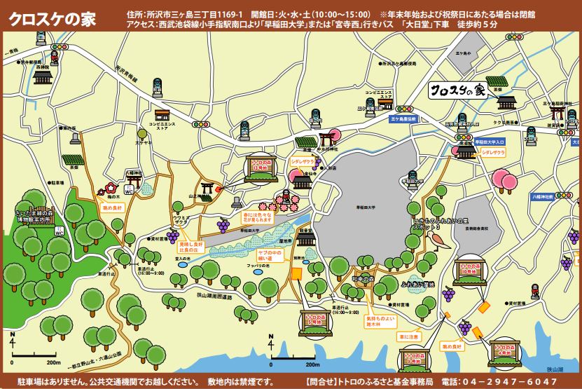 Spring walking event provides guided tour around Totoro forest loved by ...