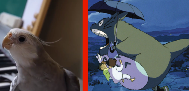 totoro bird 3 | SoraNews24 -Japan News-