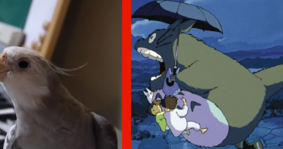 totoro bird 3 | SoraNews24 -Japan News-