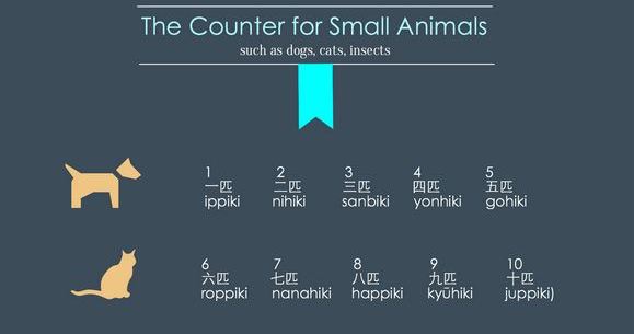 Counting in Japanese just became a whole lot easier with this handy ...