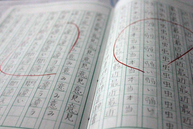 Japanese pre-teen’s summer homework assignment either lazy or genius ...