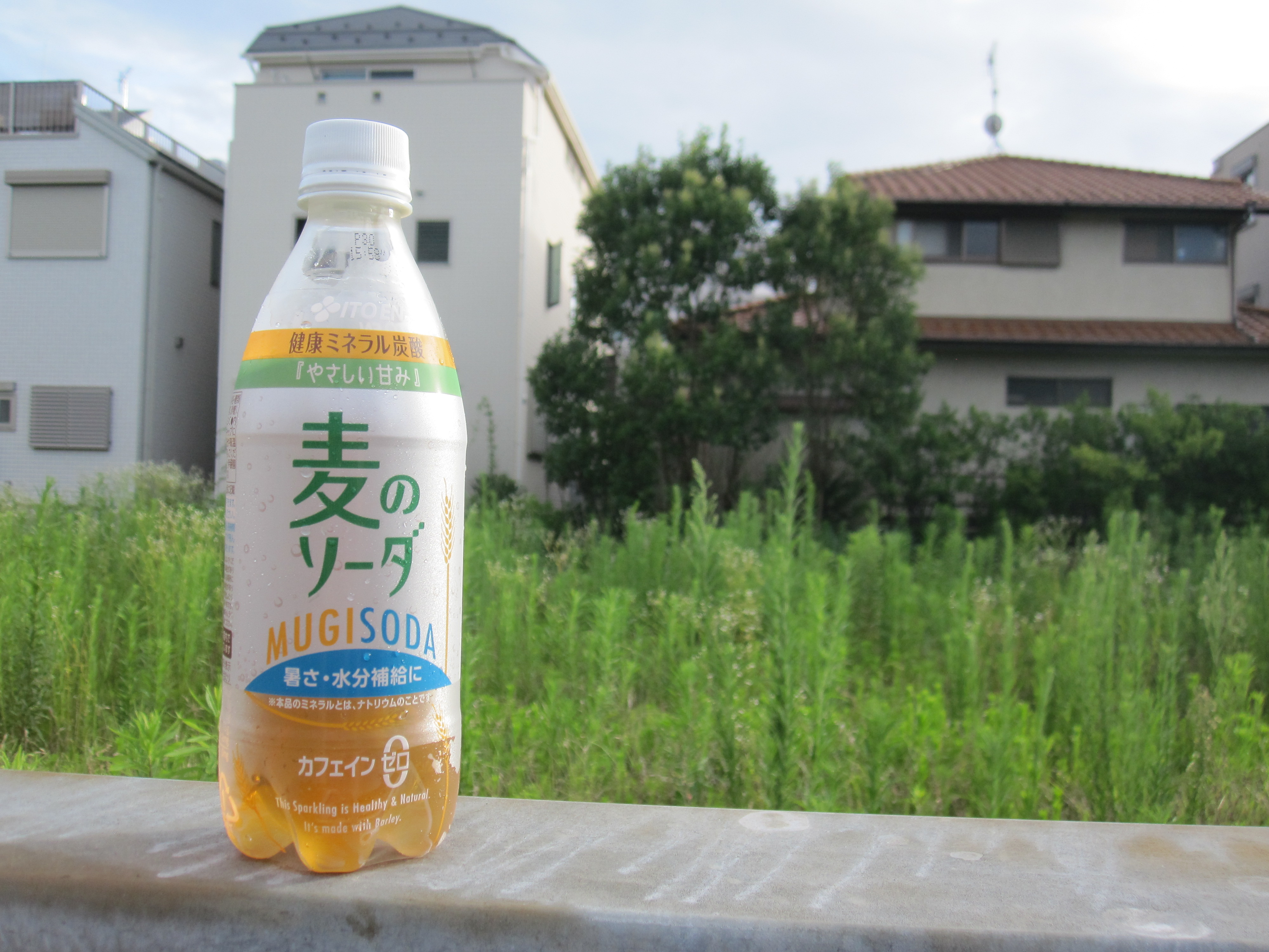Japan’s barley soda is so weird in so many ways, yet so right in one ...