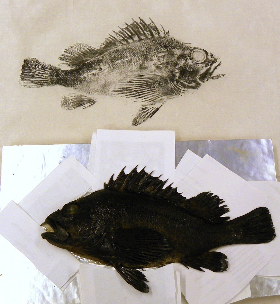 The surprising and little-known Japanese art of gyotaku: culinary ...