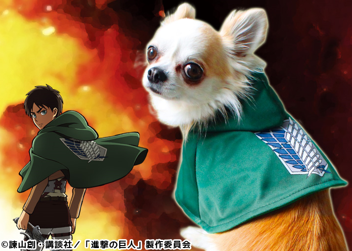 Cosplay for pets! Dog fashion retailer selling Attack on Titan capes ...