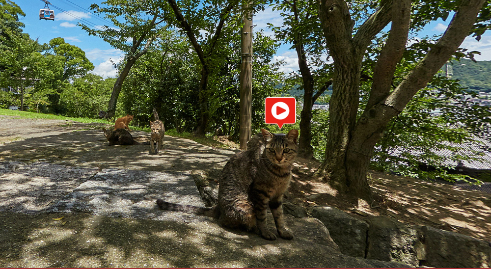 Japanese town’s Cat Street View lets you virtually tour its backstreets ...