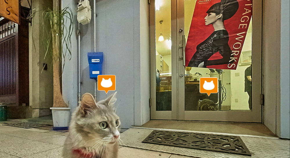 Japanese town’s Cat Street View lets you virtually tour its backstreets ...