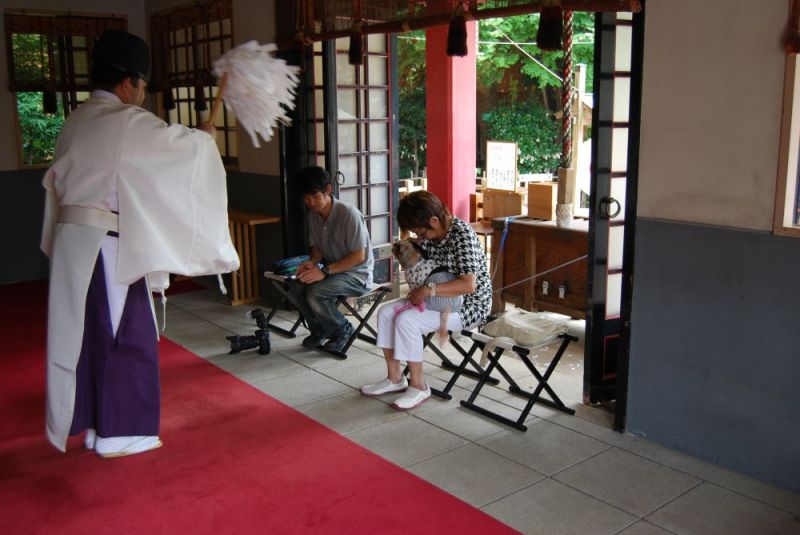 Part of the family – Tokyo Shinto shrine’s blessings for children now ...