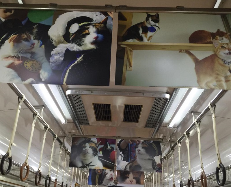 Rest in peace, Tama – Japan’s stationmaster cat passes away at 16 ...