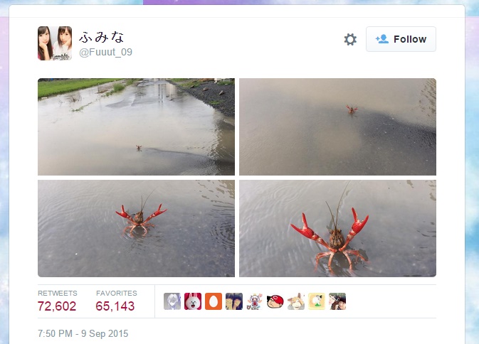 Tag: crayfish | SoraNews24 -Japan News-