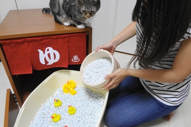 Turn your cat’s toilet trips into day-spa visits with this adorable ...