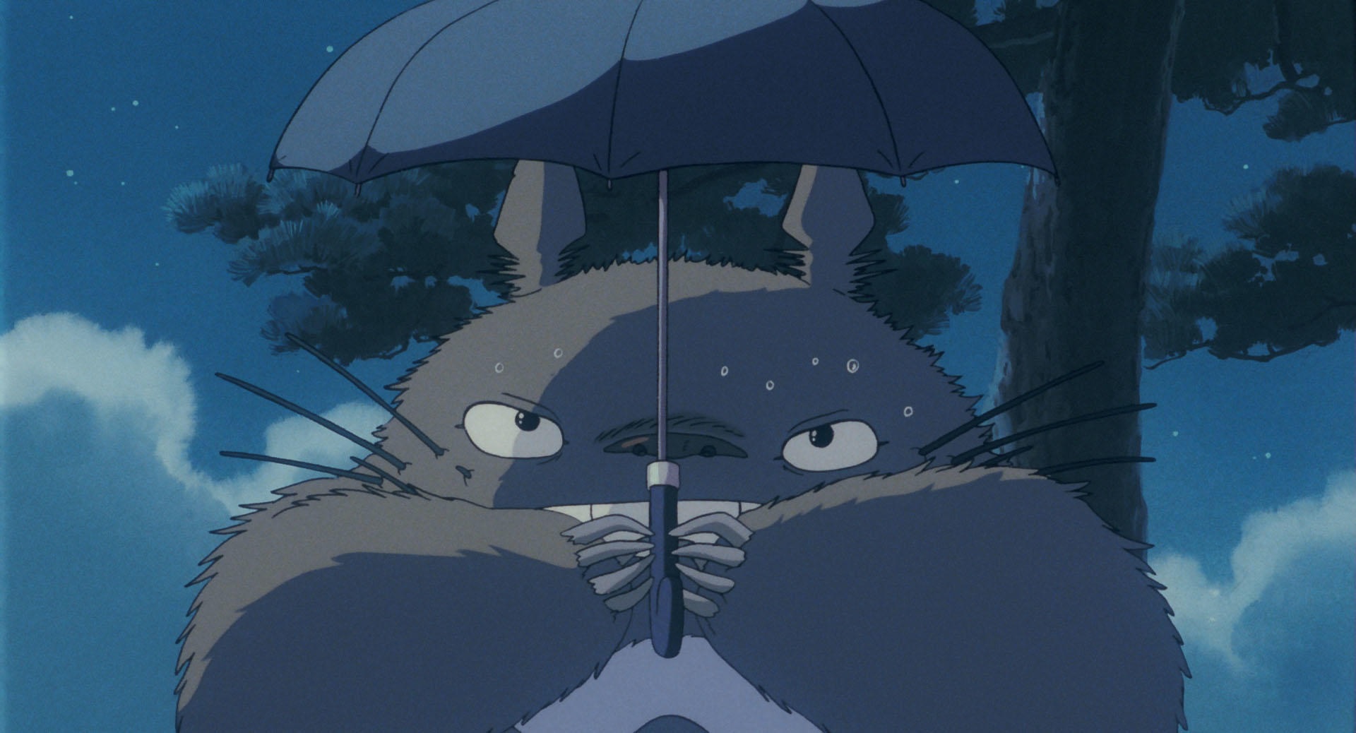 Totoro made me do it! Man says he was inspired to shoplift by Studio ...