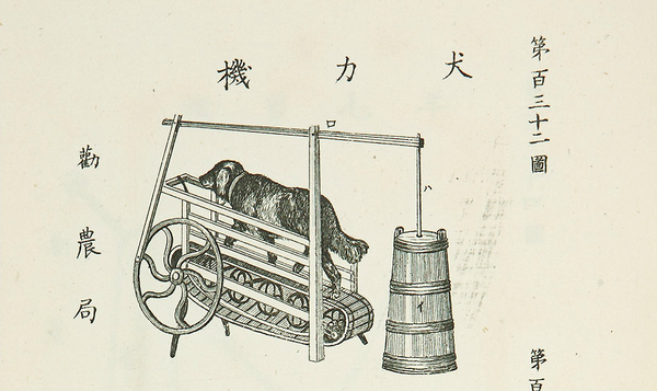 Working like a dog – Old-timey Japanese invention planned to turn pooch ...