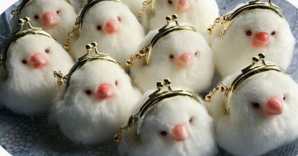 Check out these white balls of cuteness — irresistible java sparrow ...
