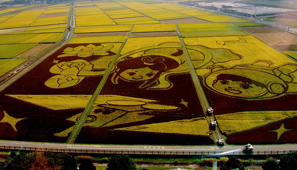Tag: rice field art | SoraNews24 -Japan News-