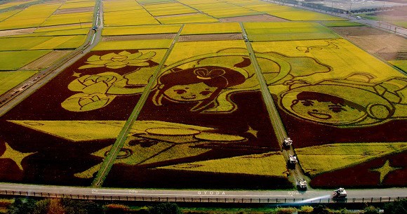 Stunning Saitama rice field art snags Guinness record | SoraNews24 ...