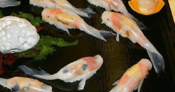 “The sushi is swimming!” Japanese sushi-maker’s koi-shaped nigiri is a ...
