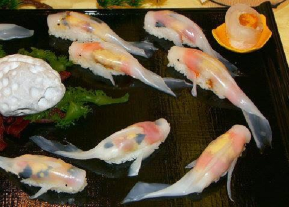 “The sushi is swimming!” Japanese sushi-maker’s koi-shaped nigiri is a ...