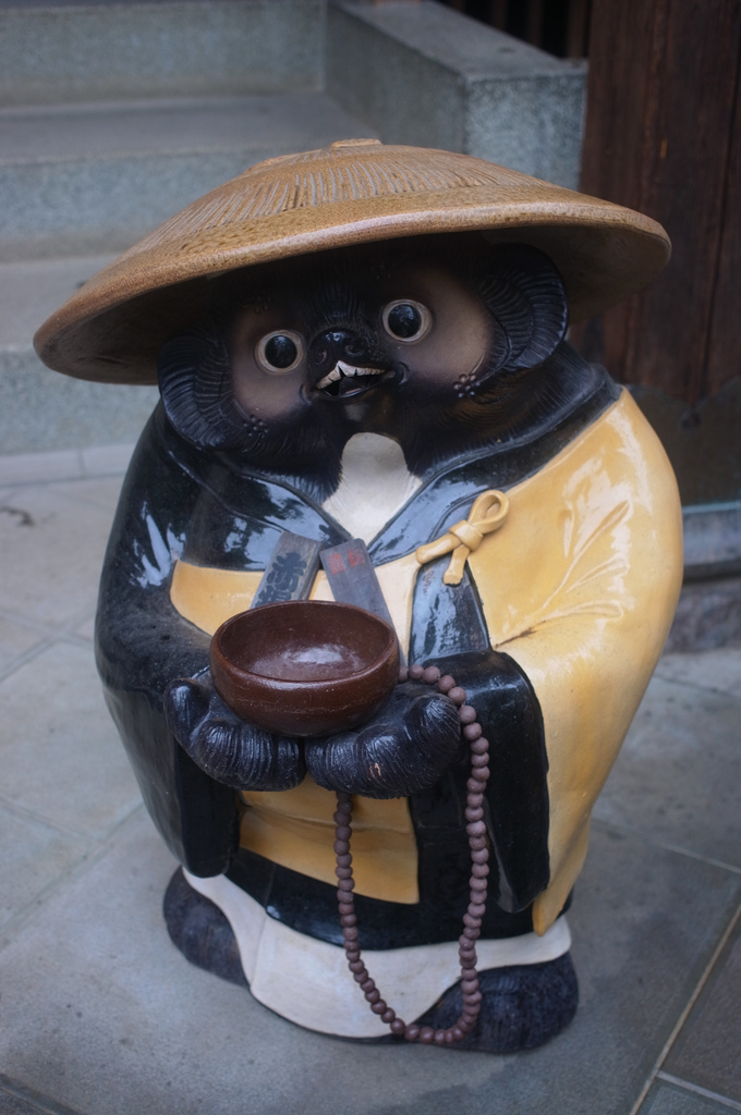 Big, drunk and furry—Everything you need to know about tanuki (plus a ...