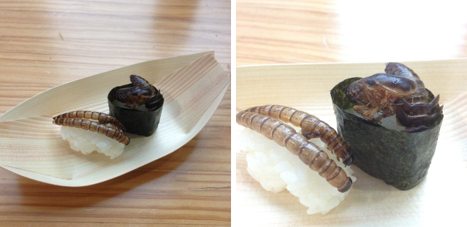 Wasp and mealworm sushi on the (unusual) menu at the Tokyo Bug-Eating ...