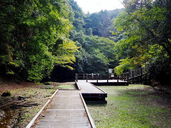 We track down the stunning Ghibli-like waterfall made famous online ...