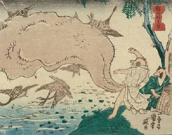 Big, drunk and furry—Everything you need to know about tanuki (plus a ...