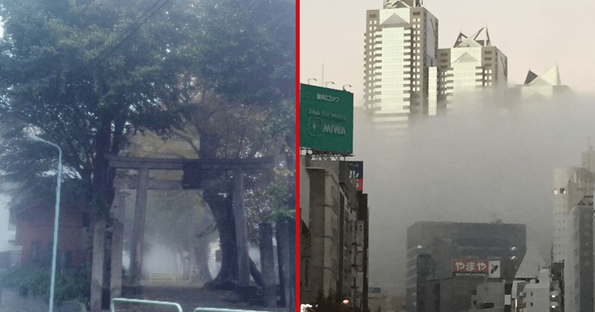 Tokyo looks eerily awesome in the fog 【Photos】 | SoraNews24 -Japan News-